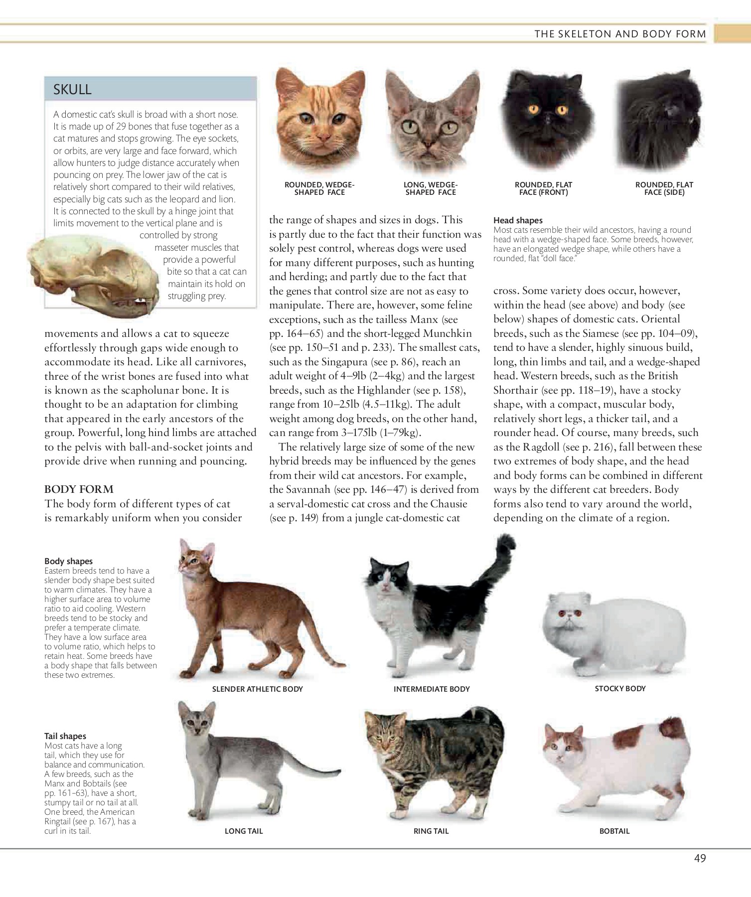 The cat encyclopedia _ the definitive visual guide - Setiowati - Page ...