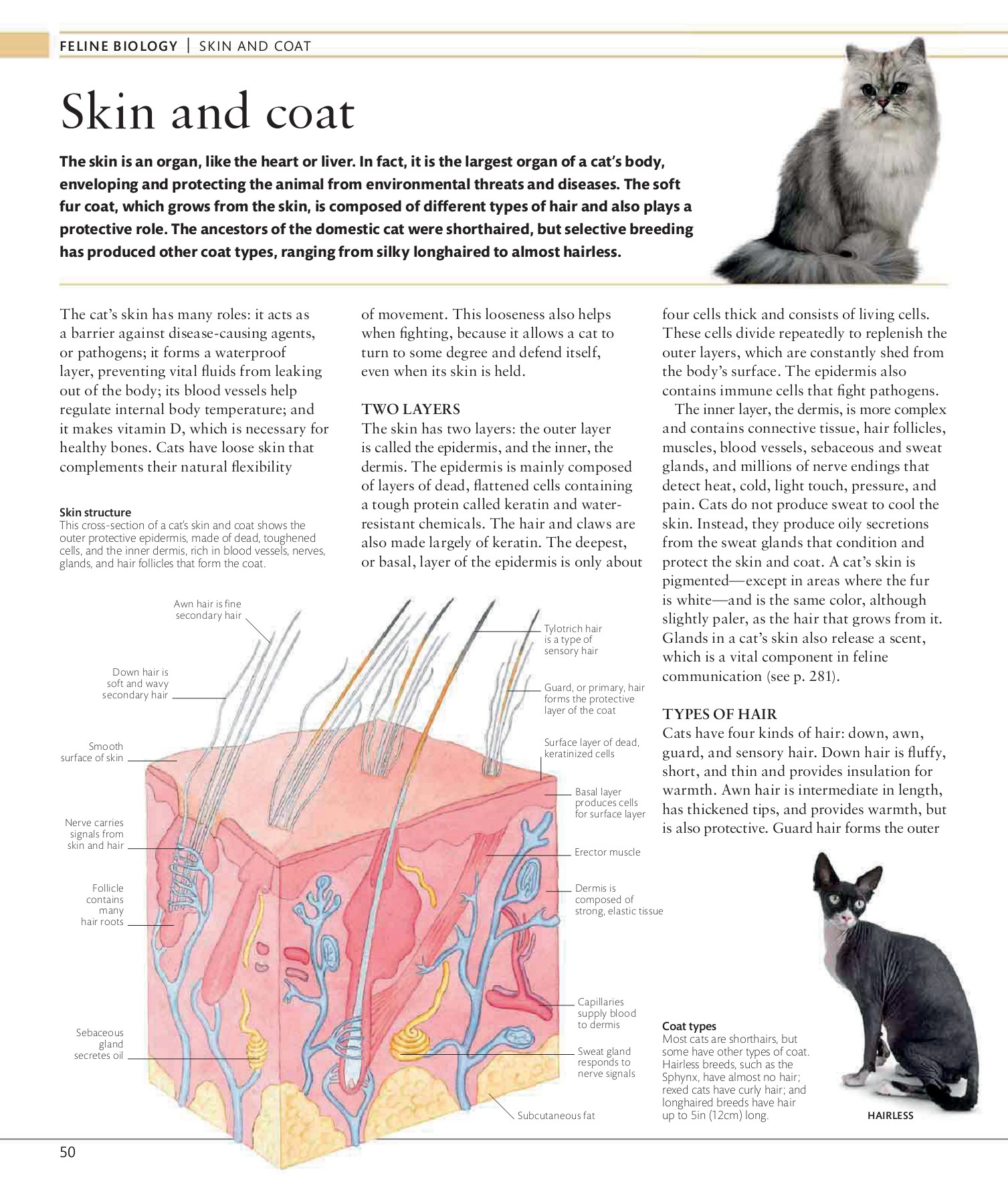 The cat encyclopedia _ the definitive visual guide - Setiowati - Page ...