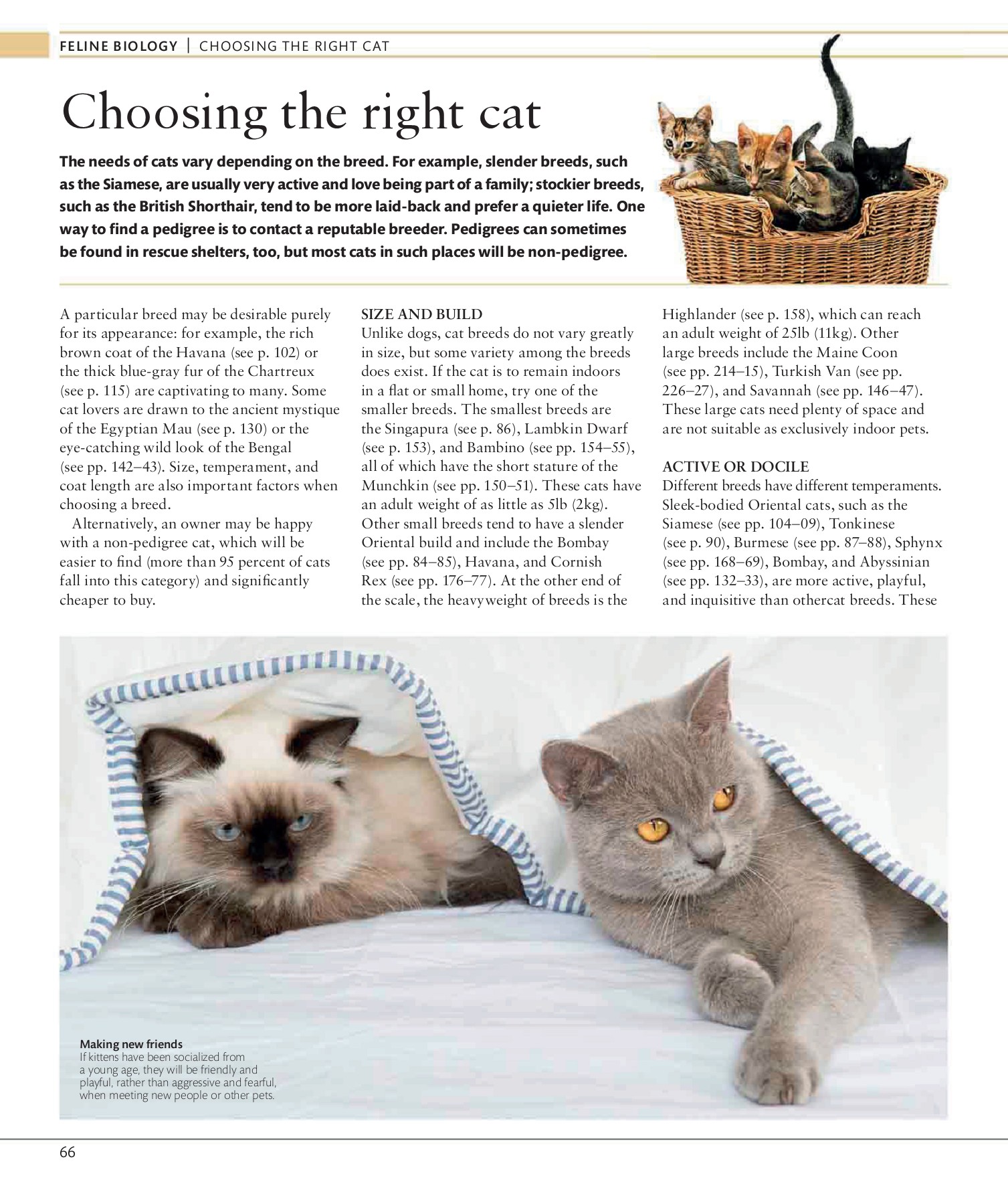 The cat encyclopedia _ the definitive visual guide - Setiowati - Page ...