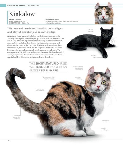 The cat encyclopedia _ the definitive visual guide - Setiowati - Page ...