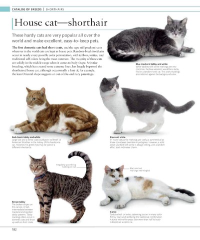 The cat encyclopedia _ the definitive visual guide - Setiowati - Page ...