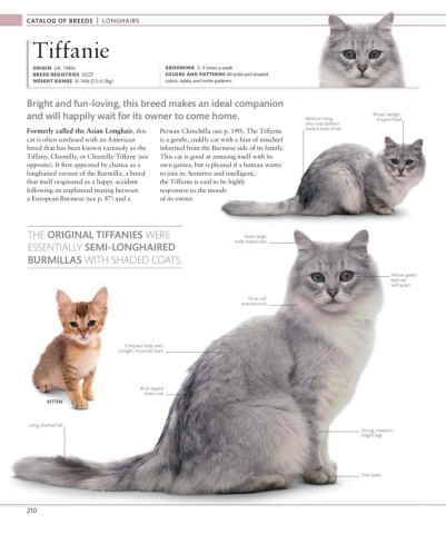 The cat encyclopedia _ the definitive visual guide - Setiowati - Page ...