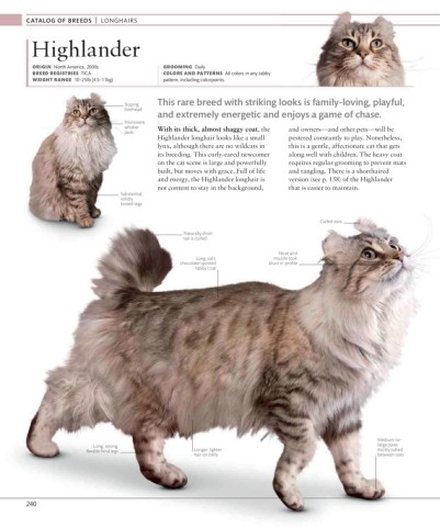 The cat encyclopedia _ the definitive visual guide - Setiowati - Page ...