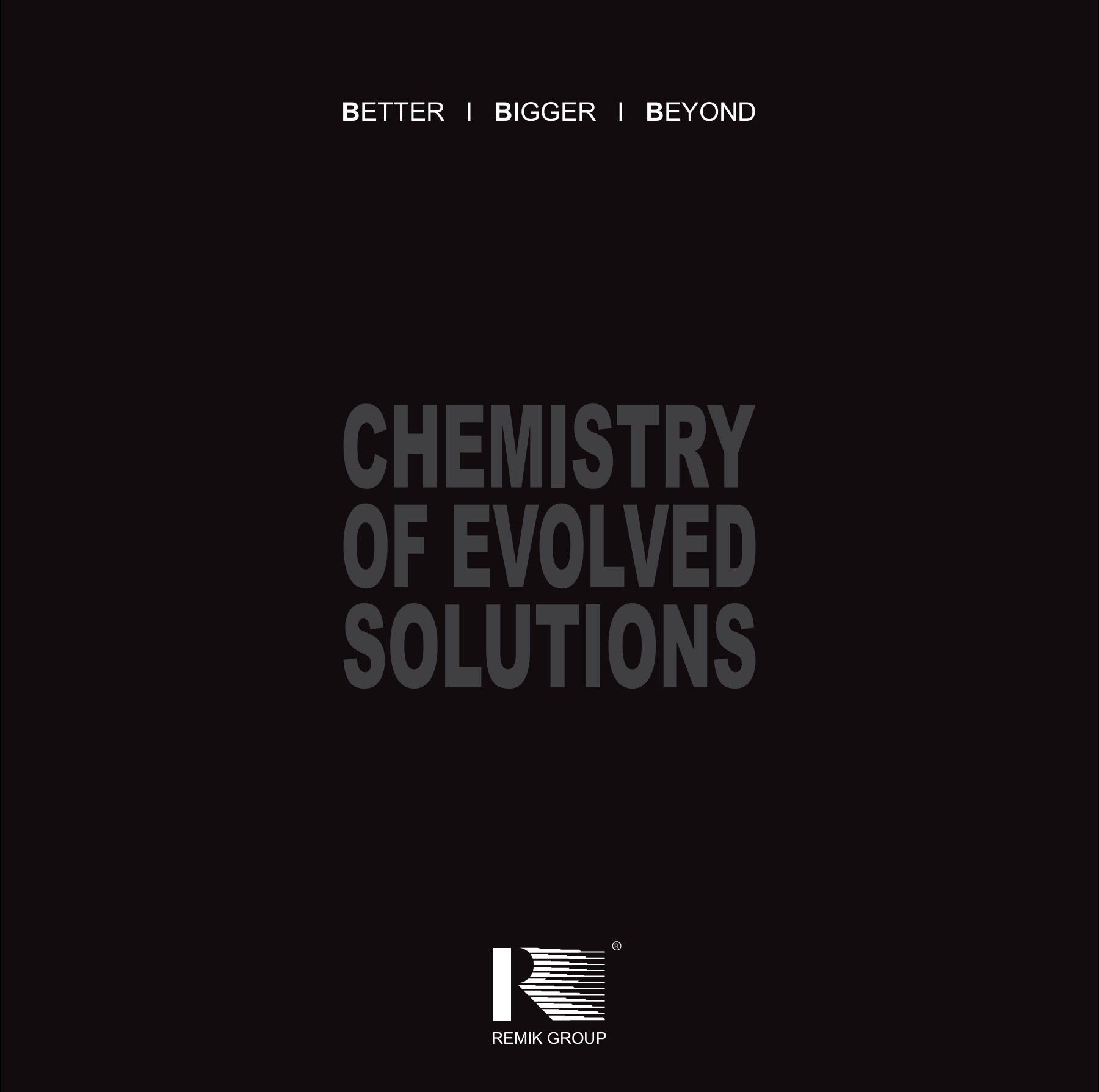 Remik Brochure - - Page 1 - 12 | Flip PDF Online | PubHTML5