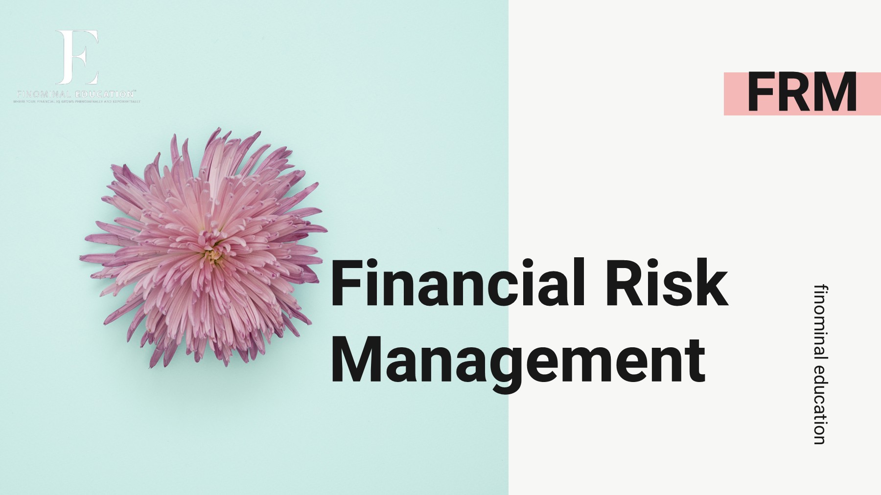 FRM - Financial Risk Management - efinominal - Page 1 - 10 | Flip PDF ...