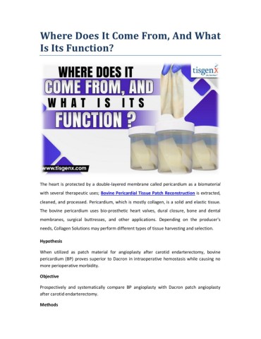 Where Does It Come From, And What Is Its Function?