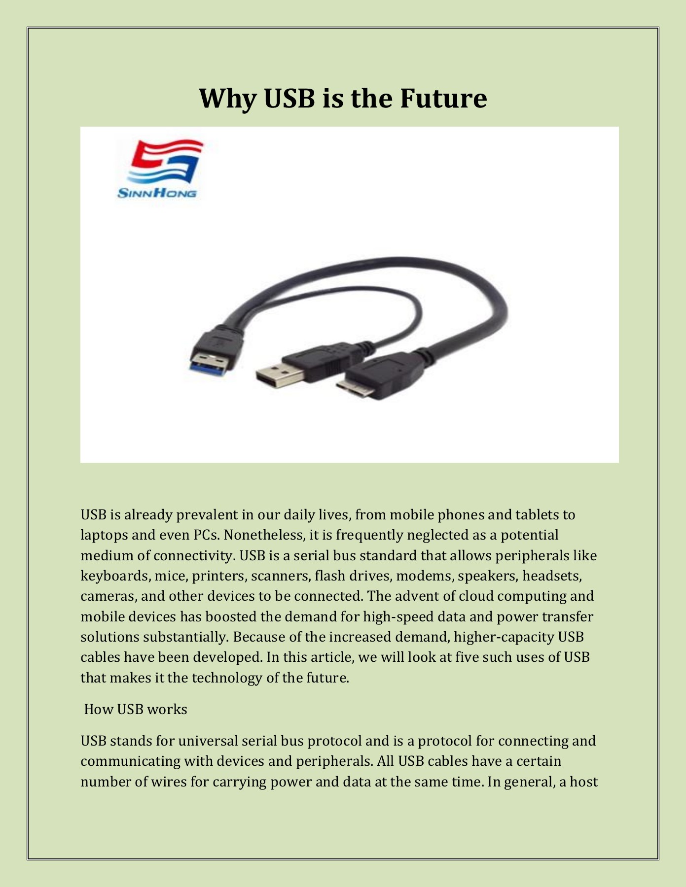 Why USB is the future - SINNHONG Electronics Co.,Limited - Page 1 - 2 ...