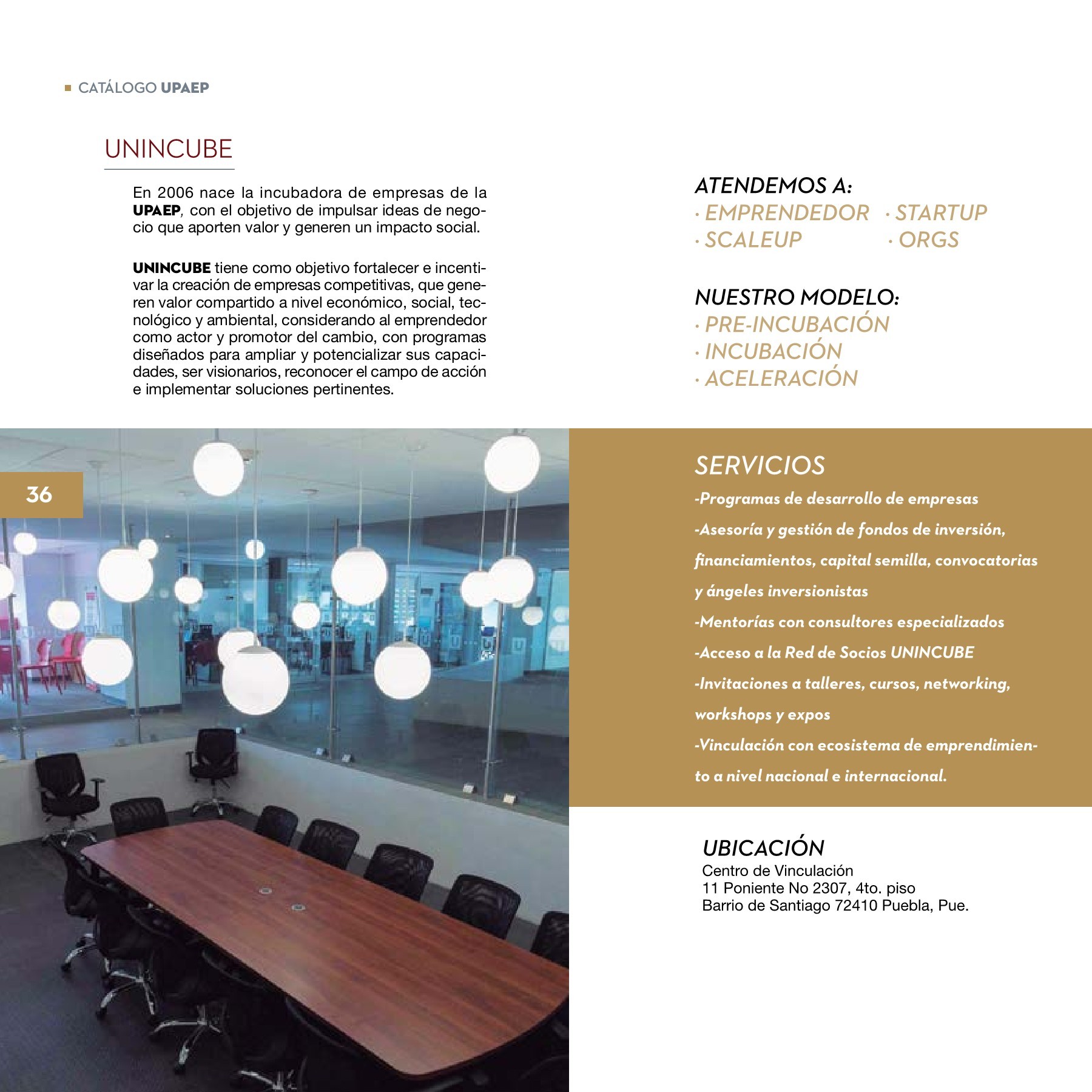 Catálogo Institucional UPAEP - UPAEP - Página 36 | Flip PDF en línea ...