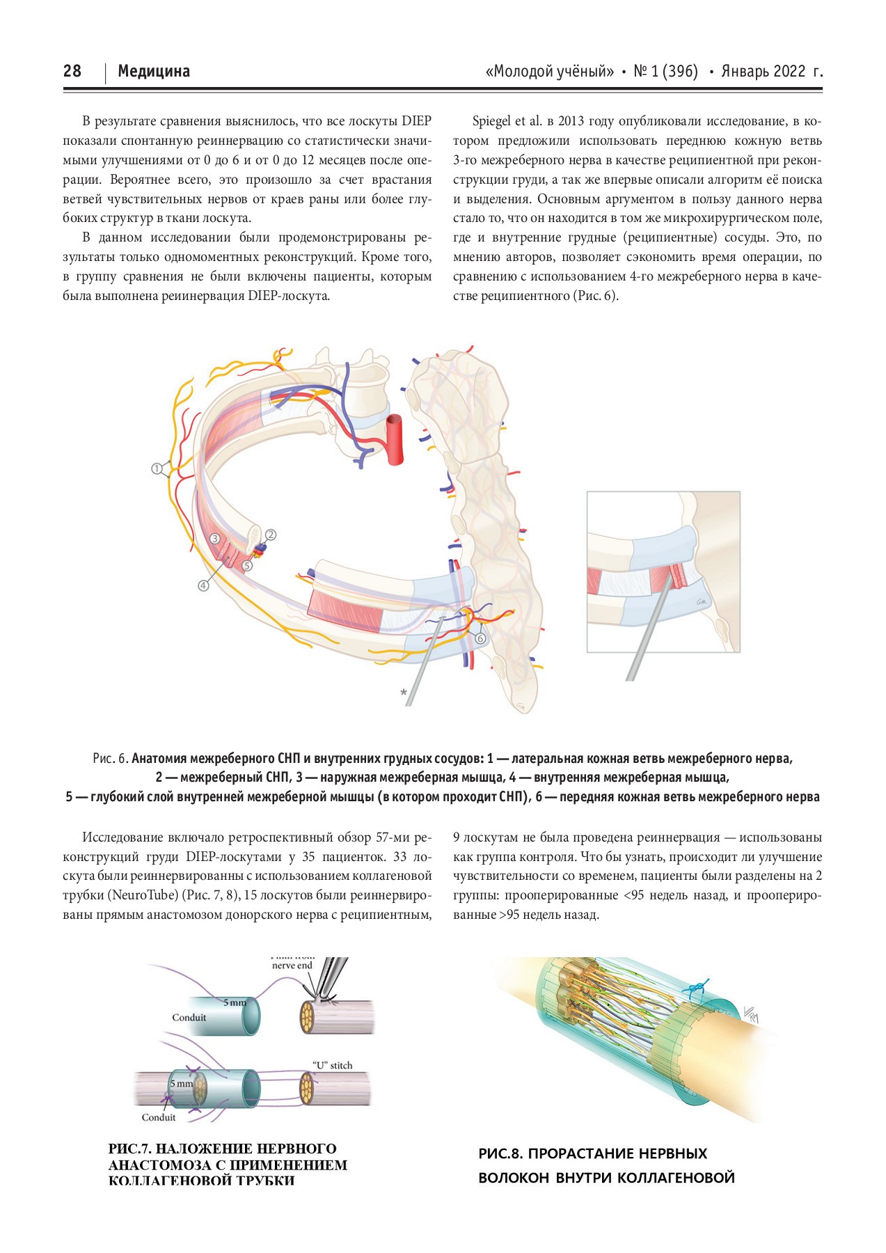 2022 01 - velikiemuzeimira - Page 34 | Flip PDF Online | PubHTML5