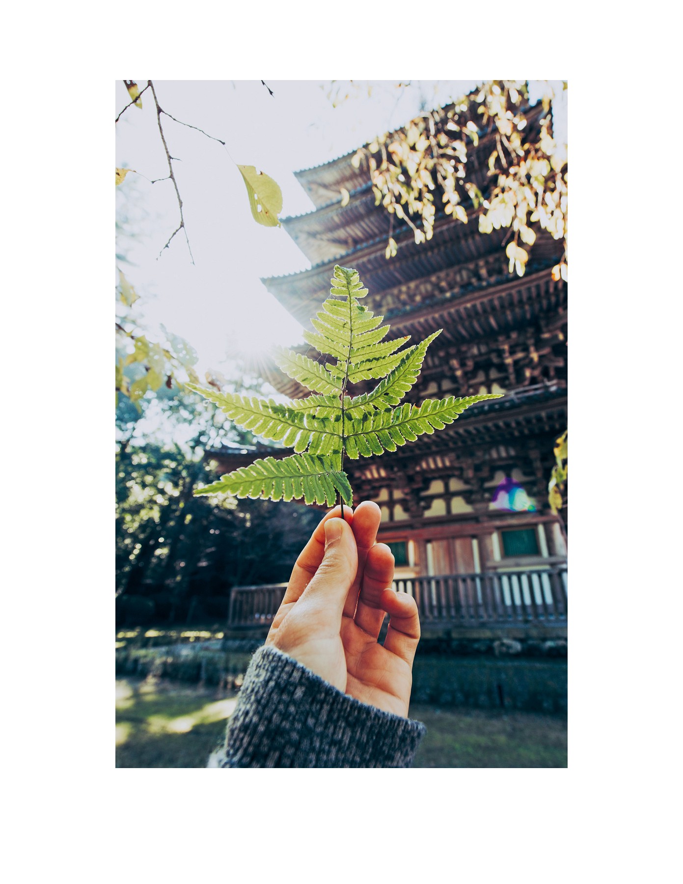 Kaizen - The Japanese Method for Transforming Habits, One Small Step at ...