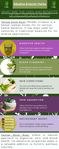 What Are the Uses and Benefits of Yellow Dock Root?