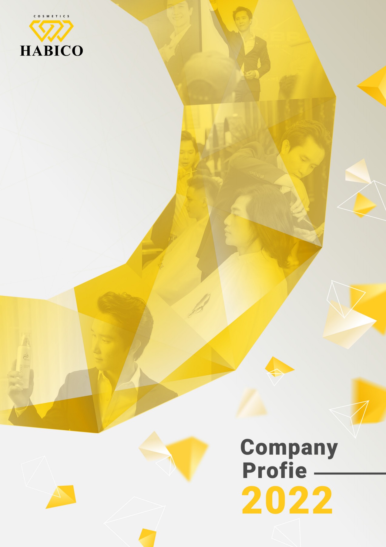 HABICO Profile - HABICO Beauty - Page 1 - 35 | Flip PDF Online | PubHTML5