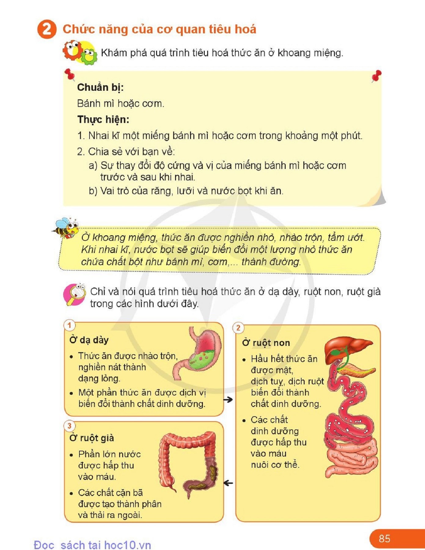 sach-giao-khoa-tu-nhien-xa-hoi-lop-3-canh-dieu-pdf - THƯ VIỆN TRƯỜNG TIỂU HỌC HIỆP LỰC - HUYỆN ...