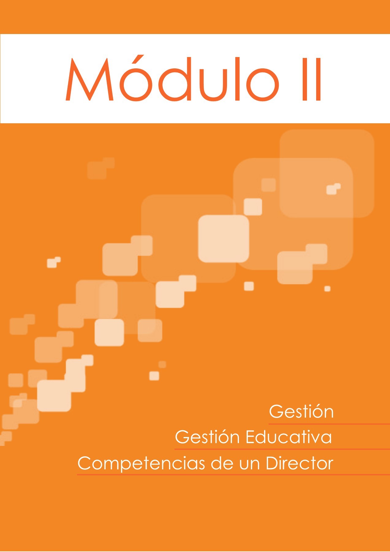 modulo 2 - azz - Página 1 - 31 | Flip PDF en línea | PubHTML5