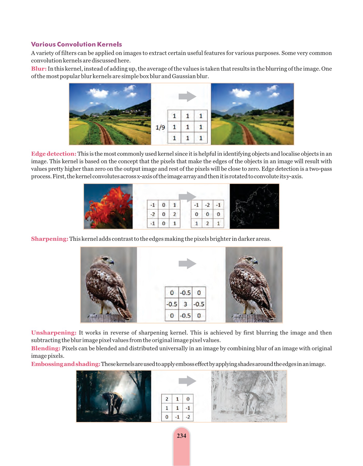 Intellicode Class 10th part 2 - Flip Book - Page 87 | Flip PDF Online | PubHTML5