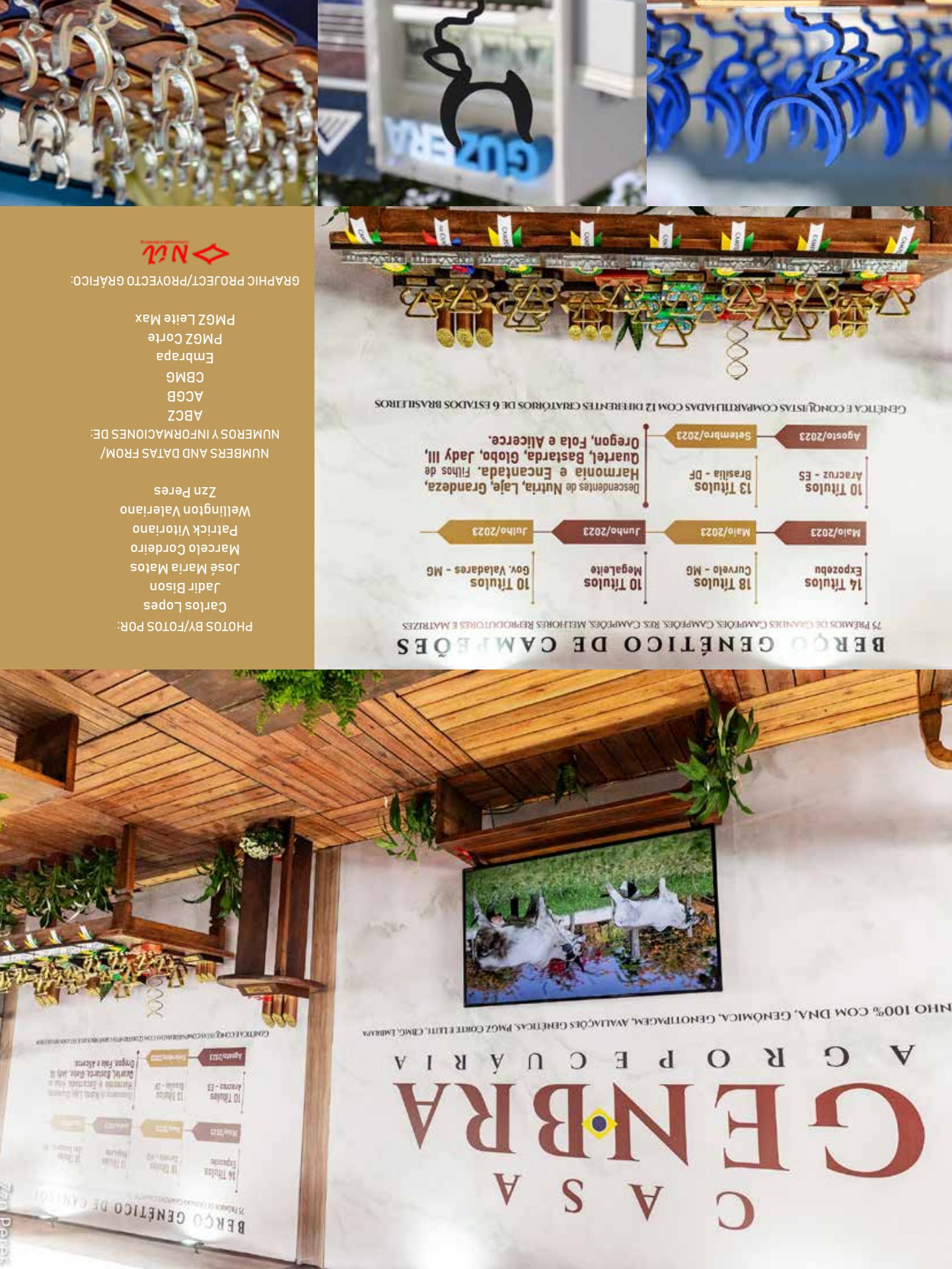 Revista GenBra 2024 - FINAL COMPLETA - Daniela César - Página 55 | PDF ...