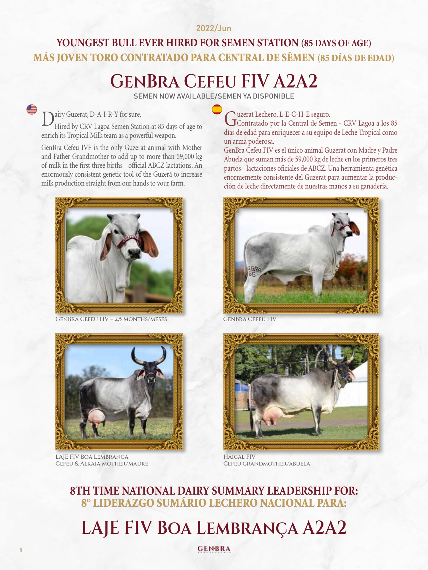 Revista GenBra 2024 - FINAL COMPLETA - Daniela César - Página 10 | PDF ...