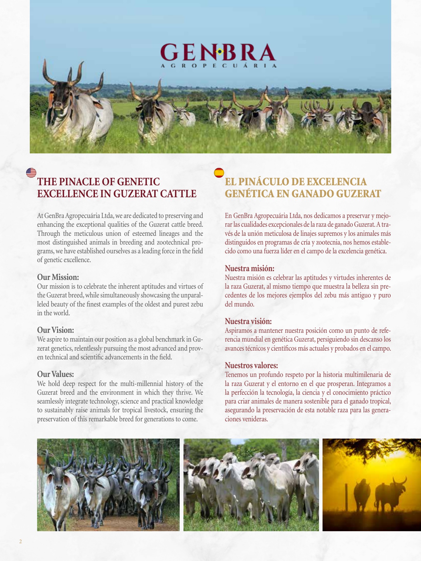 Revista GenBra 2024 - FINAL COMPLETA - Daniela César - Página 4 | PDF ...