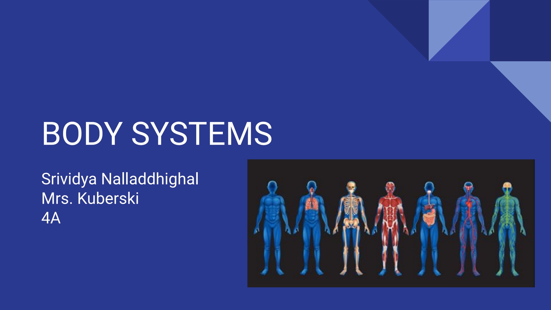 Body Systems (1) - Srividya Nalladdhighal - Page 1 - 41 | Flip PDF ...