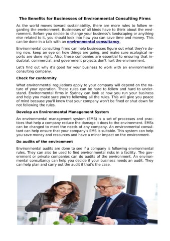 The Benefits for Businesses of Environmental Consulting Firms
