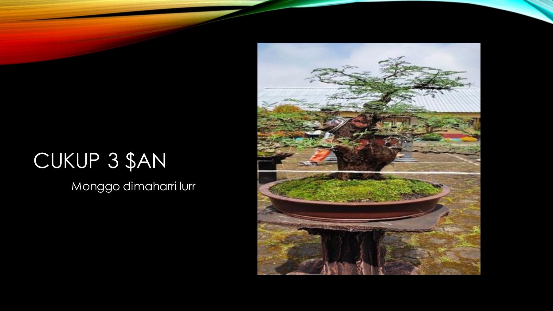 bonsai q 2022 - Copy mau ke pdf - Abidin Fand - Page 4 | Flip PDF ...