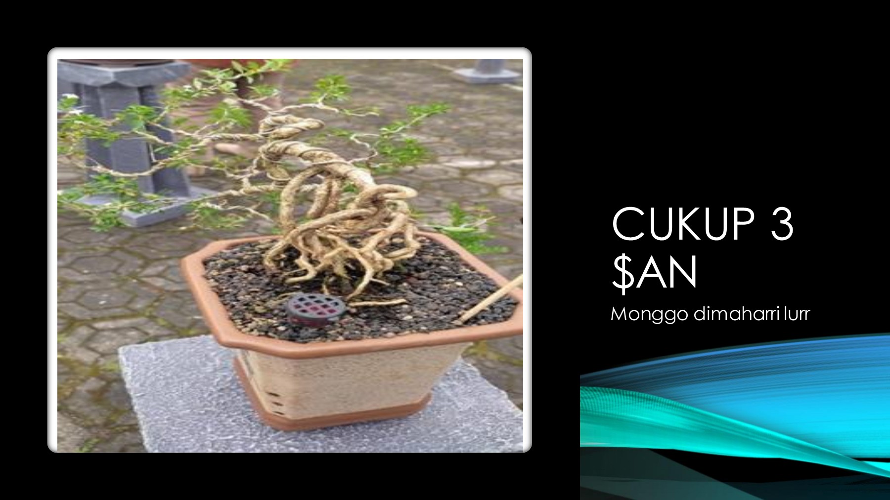 bonsai q 2022 - Copy mau ke pdf - Abidin Fand - Page 5 | Flip PDF ...