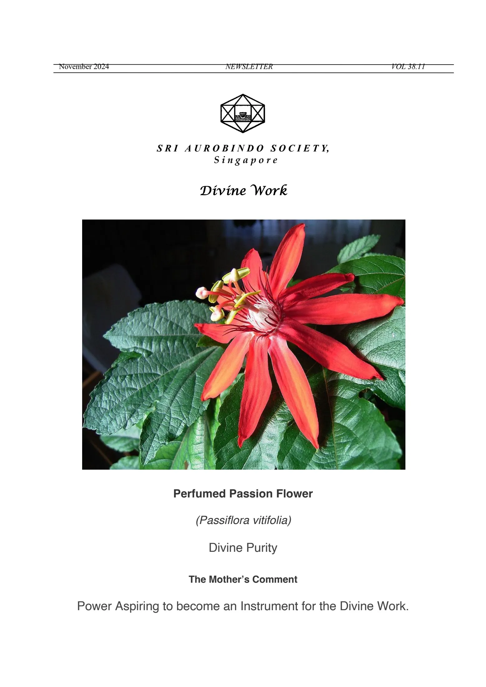 November - 2024 - Divine Work - Jayanthy Ramachandran - Page 1 - 14 ...