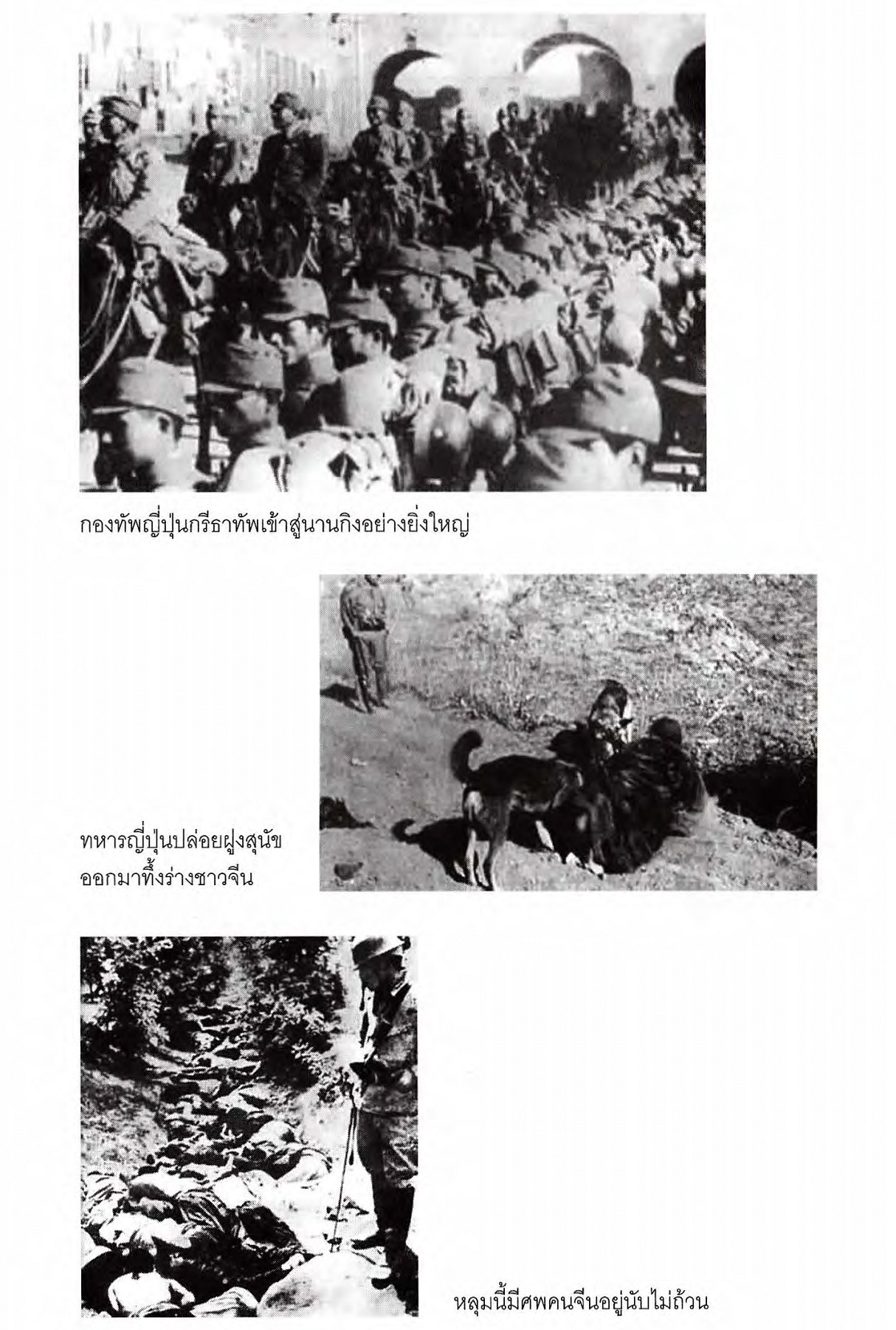 The Rape of Nanking หลั่งเลือดที่นานกิง - E-Book Library กศน.ตำบลท้าย ...