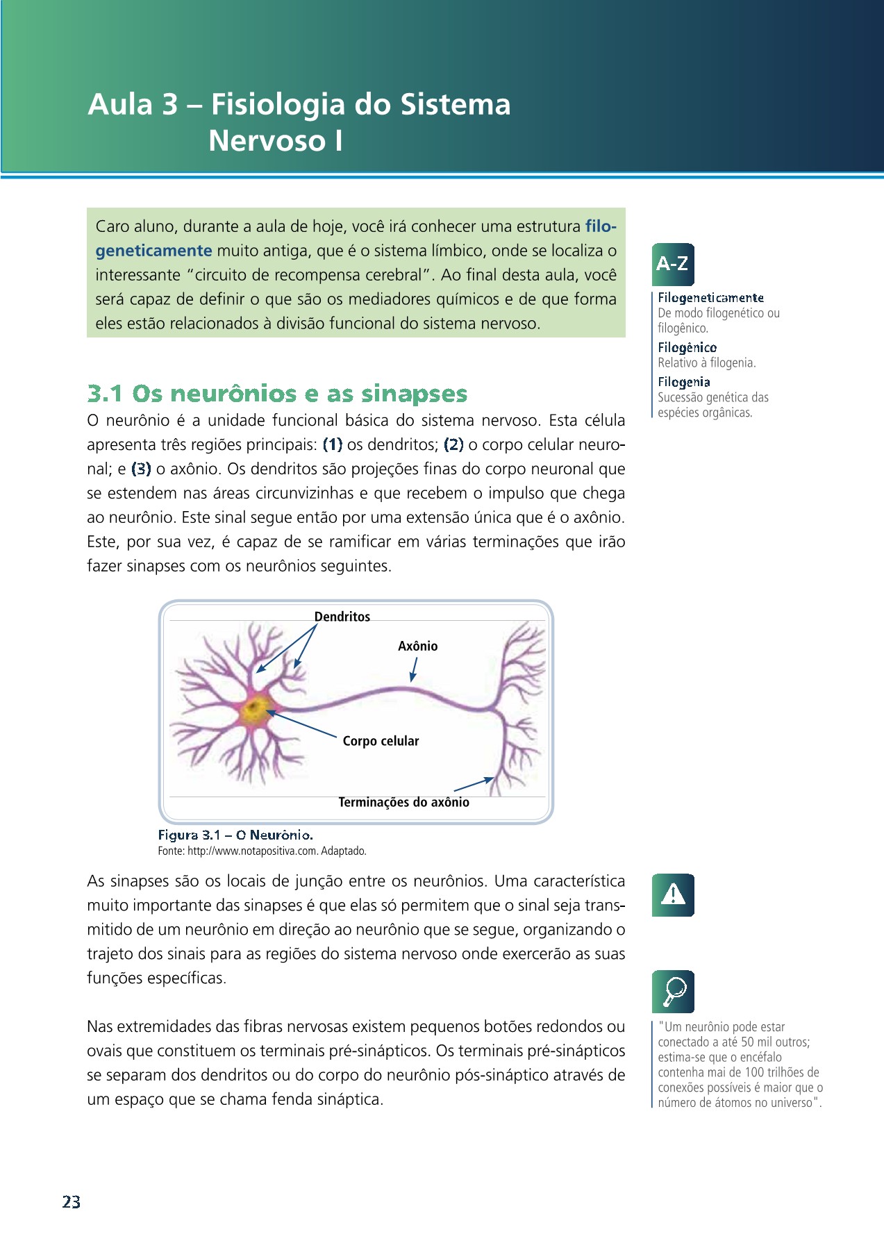 ENFERMAGEM - APOSTILA ANATOMIA E FISIOLOGIA - alancarlosprofissional ...