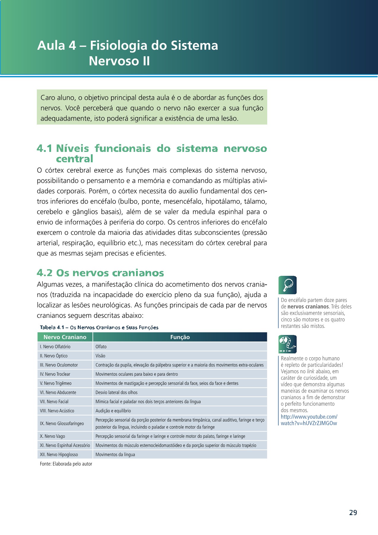 ENFERMAGEM - APOSTILA ANATOMIA E FISIOLOGIA - alancarlosprofissional ...