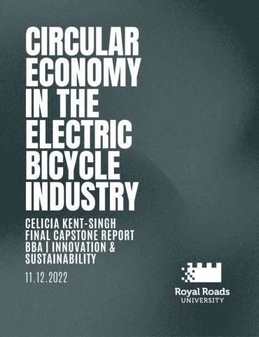 Circular Economy in the Electric Bicycle Industry