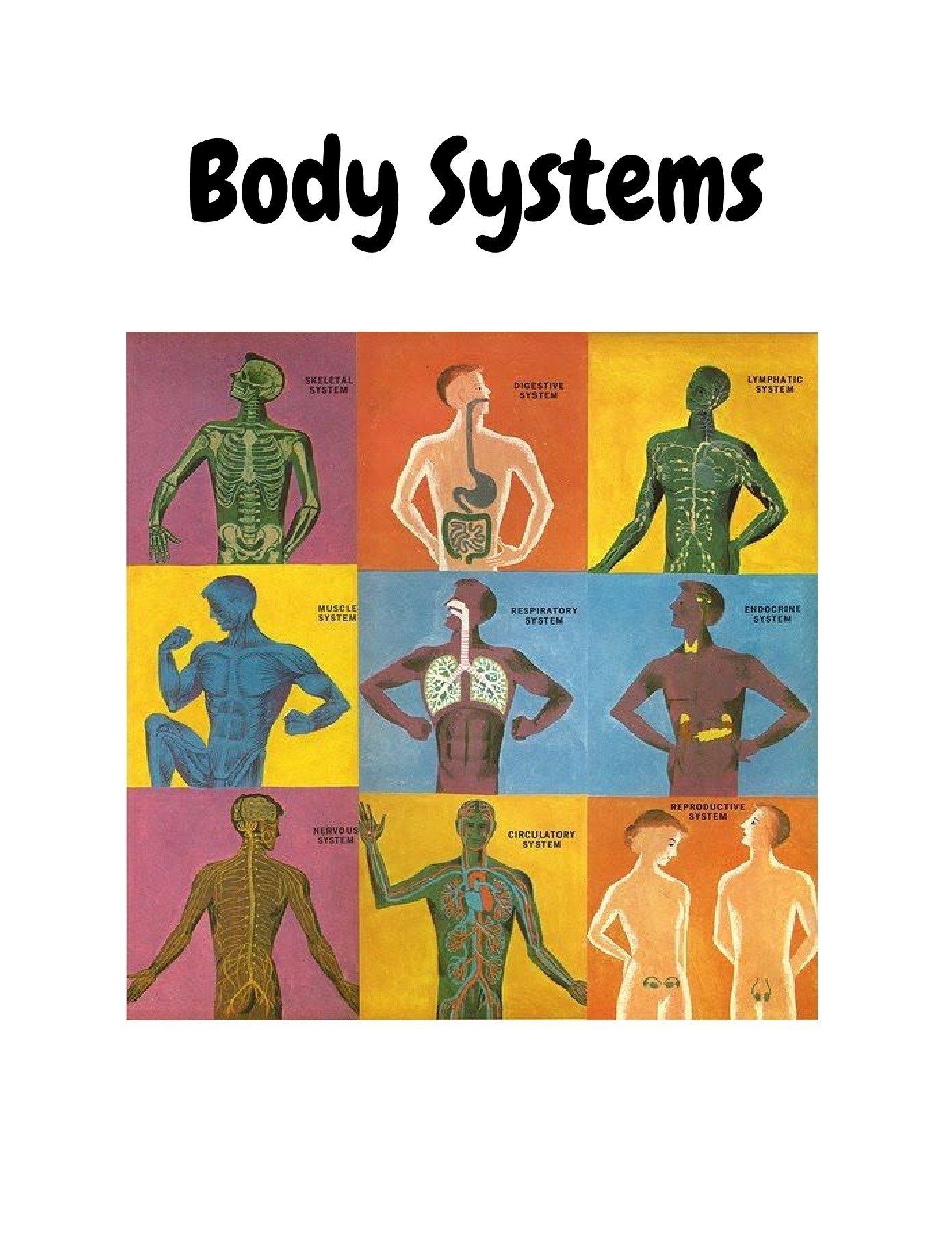 Kids Body System Project - Eduardo Gonzalez - Page 1 - 14 | Flip PDF ...