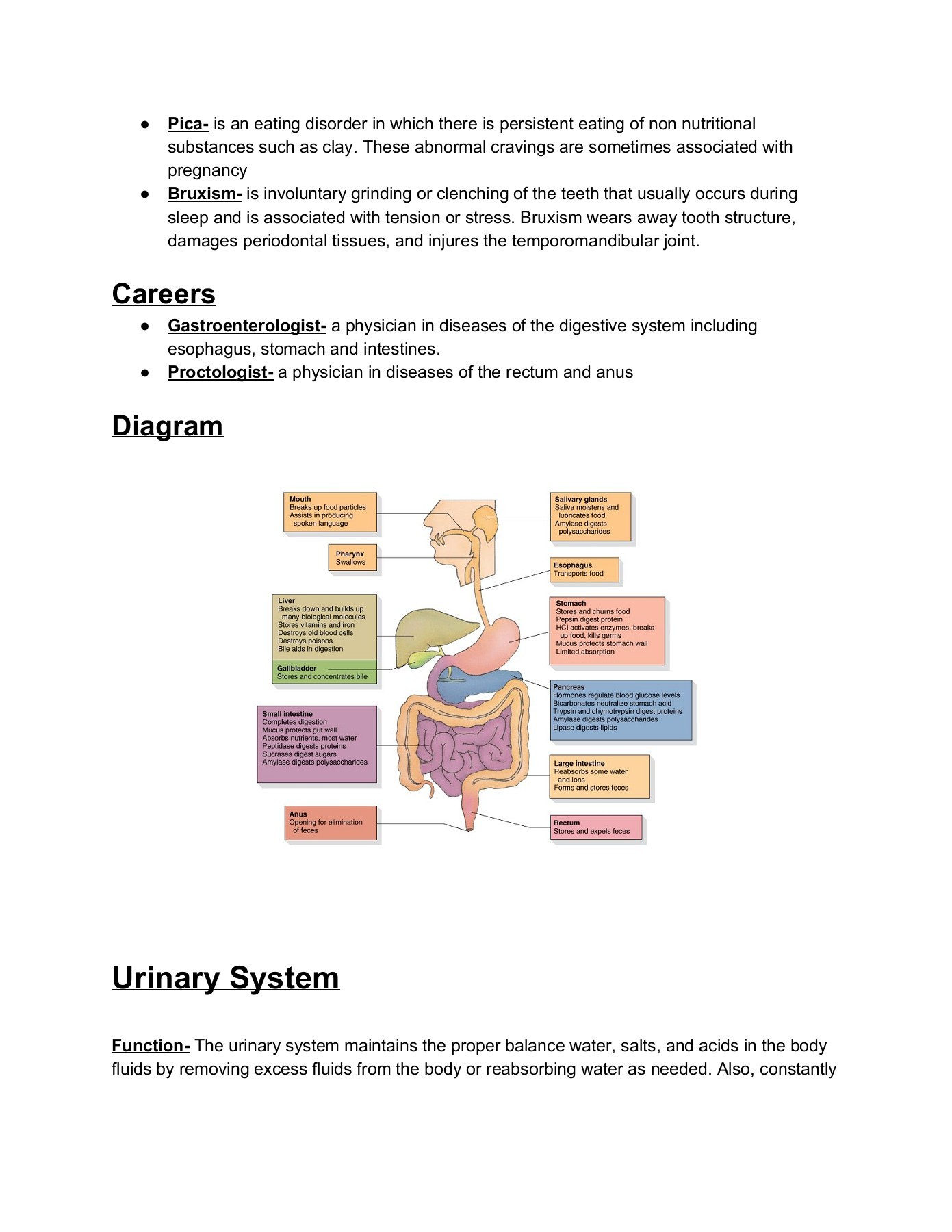Body Systems Project - Eduardo Gonzalez - Page 14 | Flip PDF Online ...