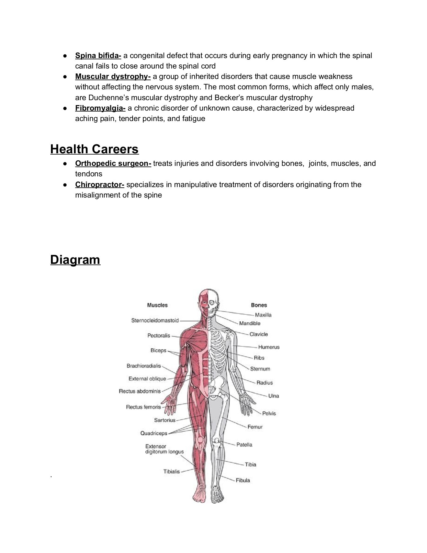 Body Systems Project - Eduardo Gonzalez - Page 6 | Flip PDF Online ...