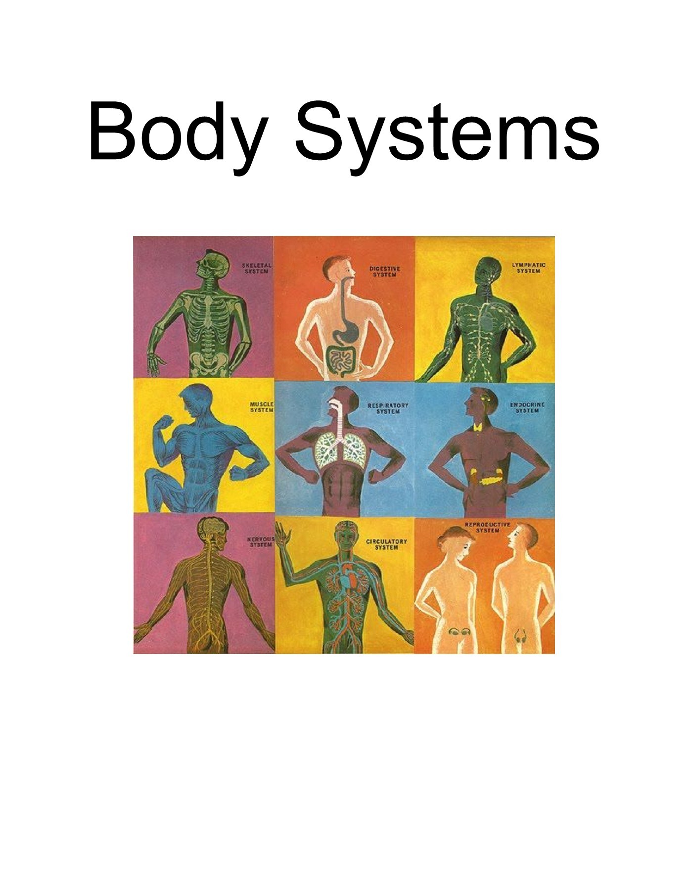 Body Systems Project - Eduardo Gonzalez - Page 1 - 22 | Flip PDF Online ...