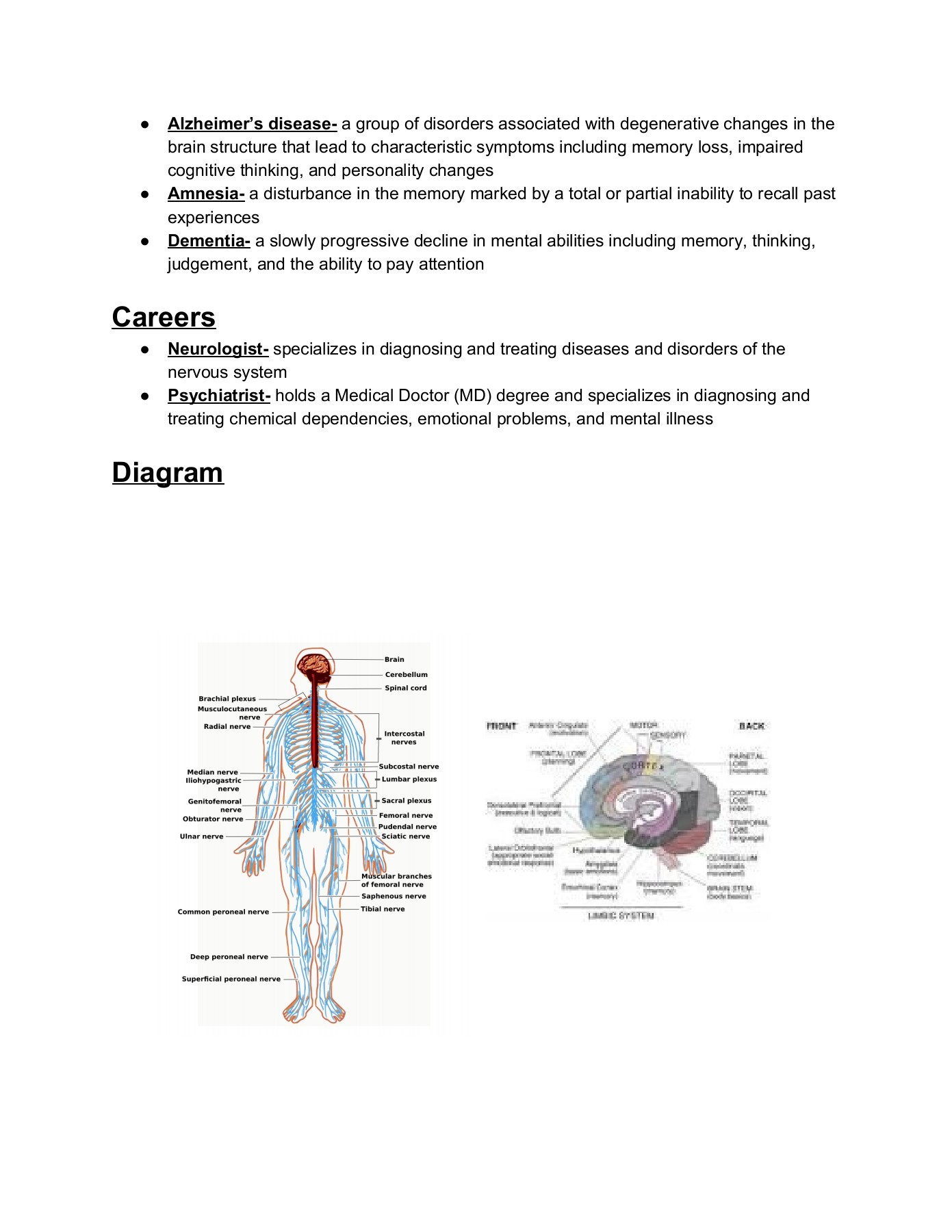 Body Systems Project - Eduardo Gonzalez - Page 8 | Flip PDF Online ...