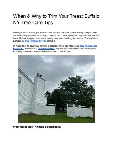 When & Why to Trim Your Trees_ Buffalo NY Tree Care Tips
