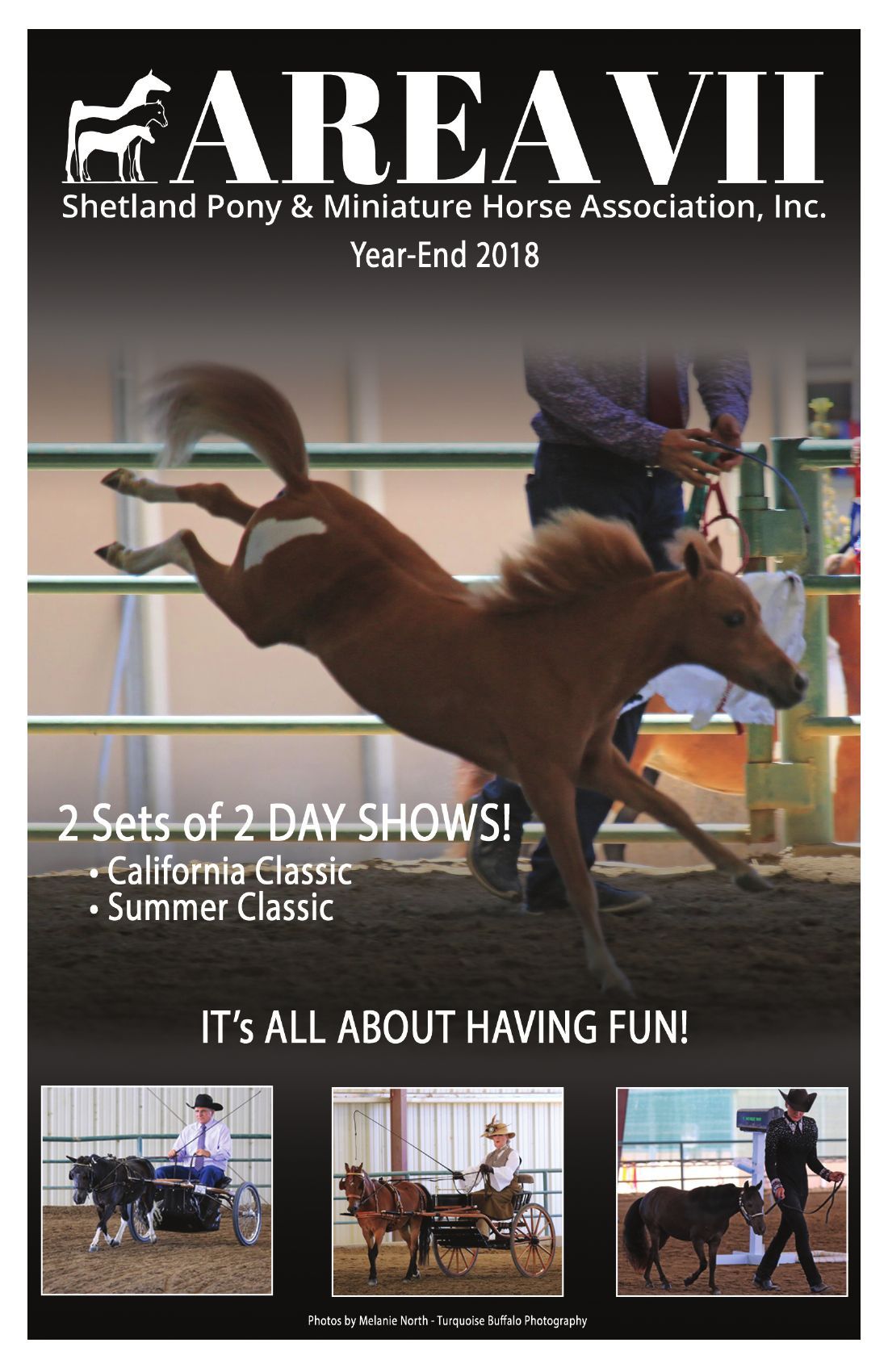 Area VII Quarterly Newsletter, Year-End 2018 - membership - Page 1 - 12 ...