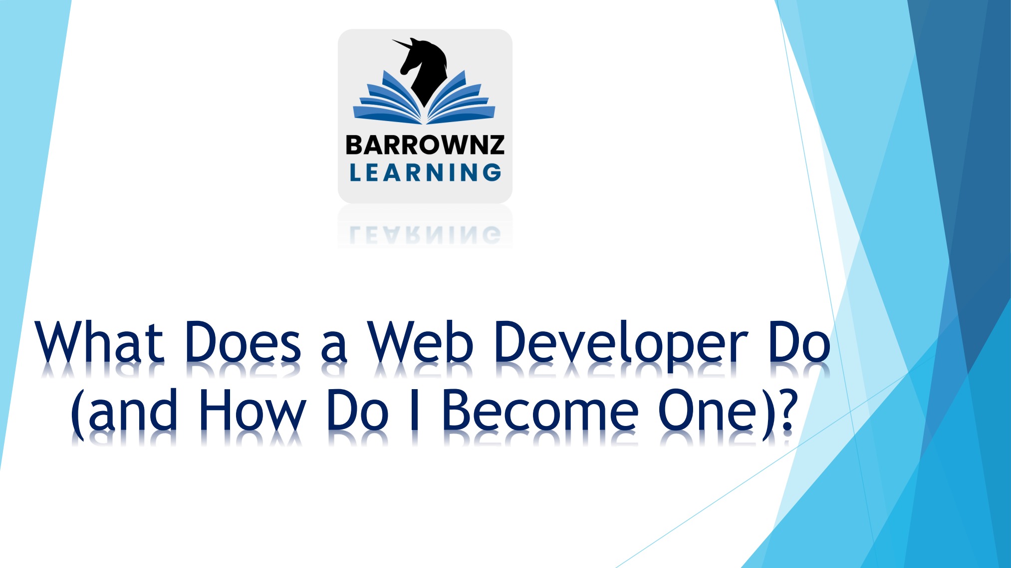 What Does a Web Developer Do-and How Do I Become One ...