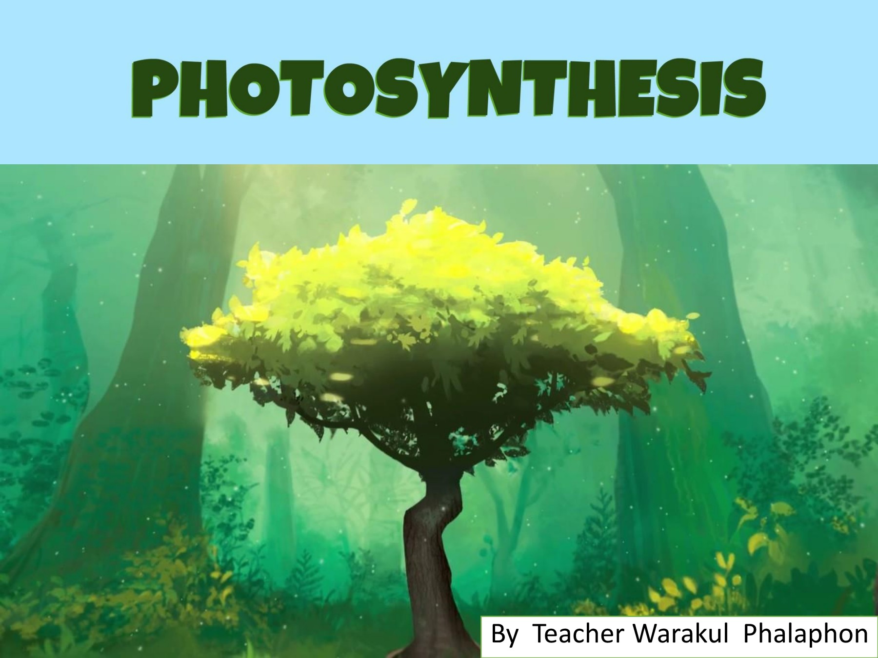 Photosynthesis - warakul.pha - Page 1 - 34 | Flip PDF Online | PubHTML5