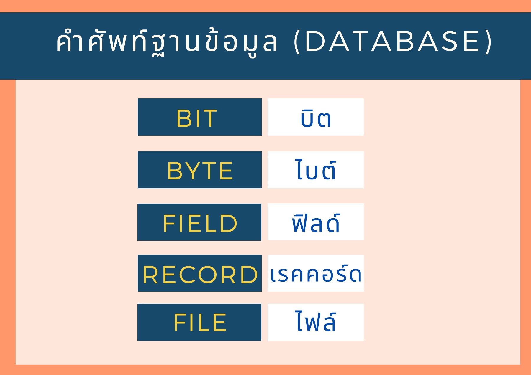 คำศัพท์ฐานข้อมูล (DATABASE) - Pheerayuth Udkhao - หน้าหนังสือ 2 | พลิก ...
