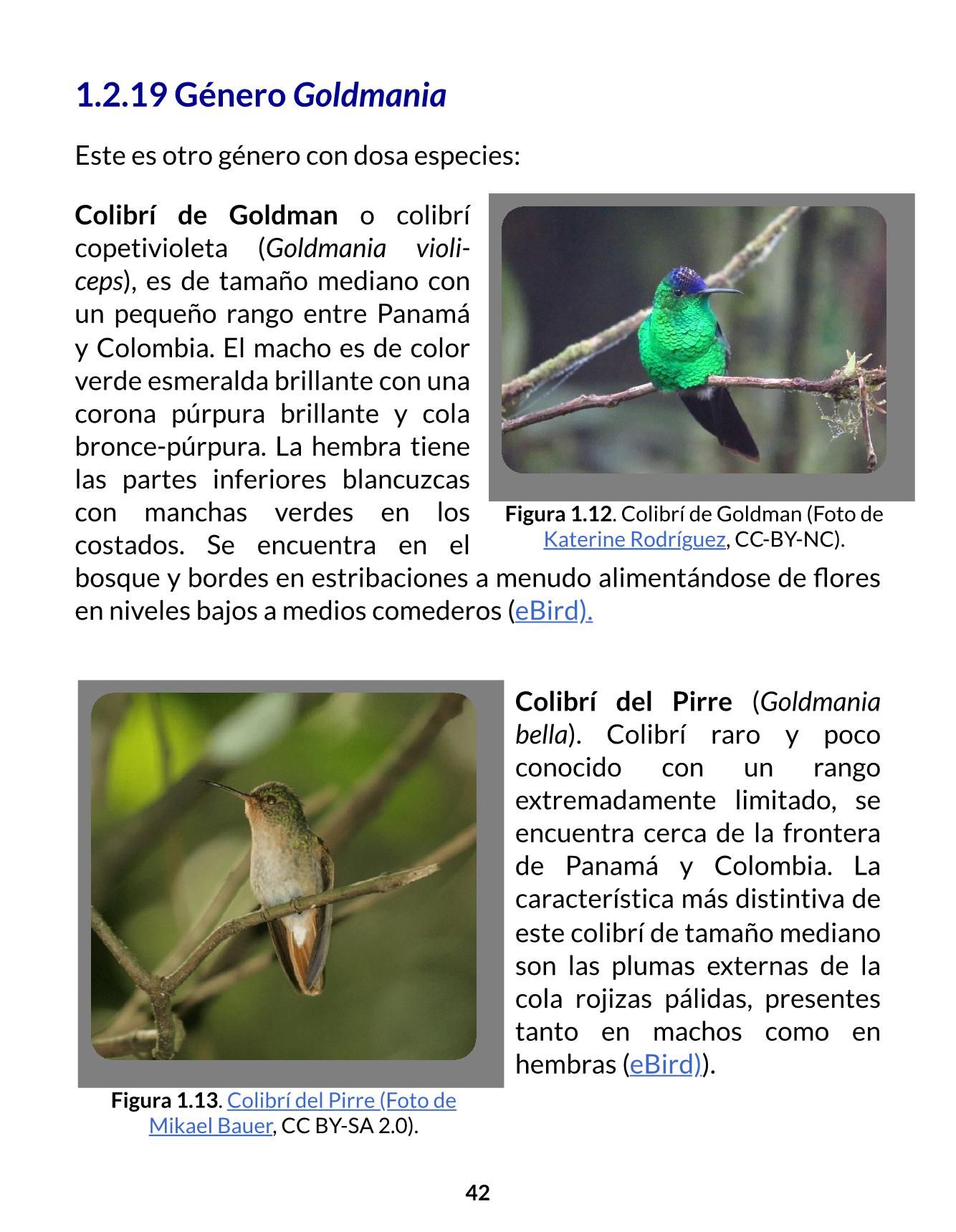 Colibries - RED Descartes - Page 44 | Flip PDF Online | PubHTML5