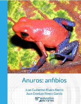 Anuros: anfibios