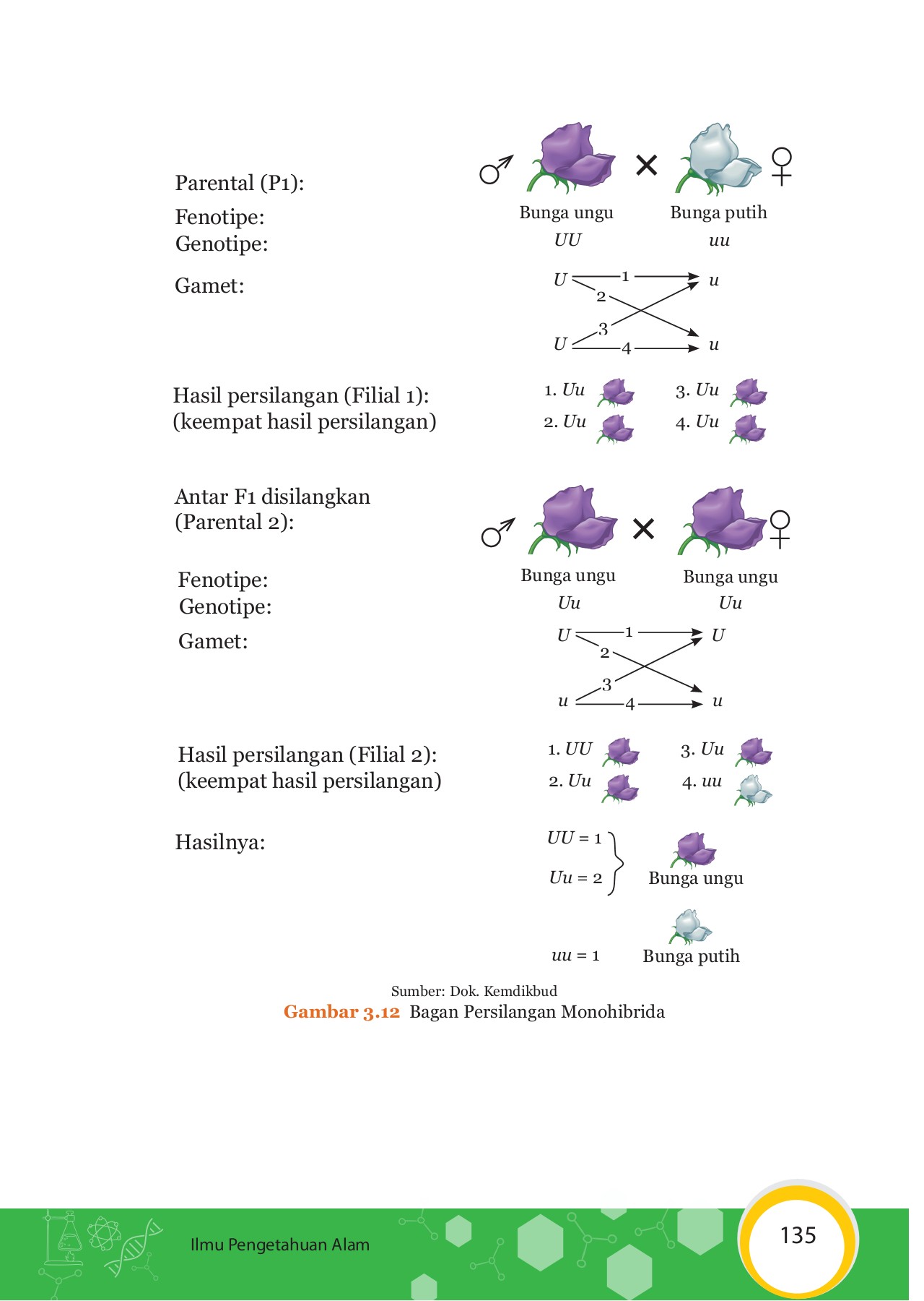 IPA_Kelas9_Sm1 - Naufal Wiwit P - Halaman 154 | PDF Online | PubHTML5