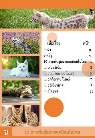 PowerPoint Presentation - kingubon.ch - Page 4 | Flip PDF Online | PubHTML5