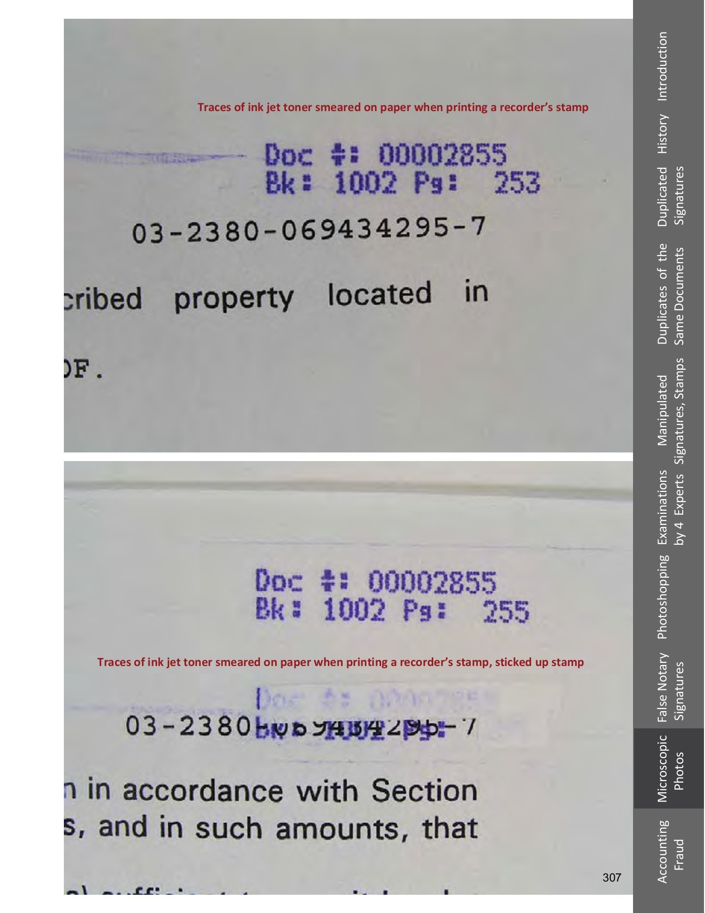 Document Fraud REPORT submitted by Bill Freeman - william.freeman3 ...