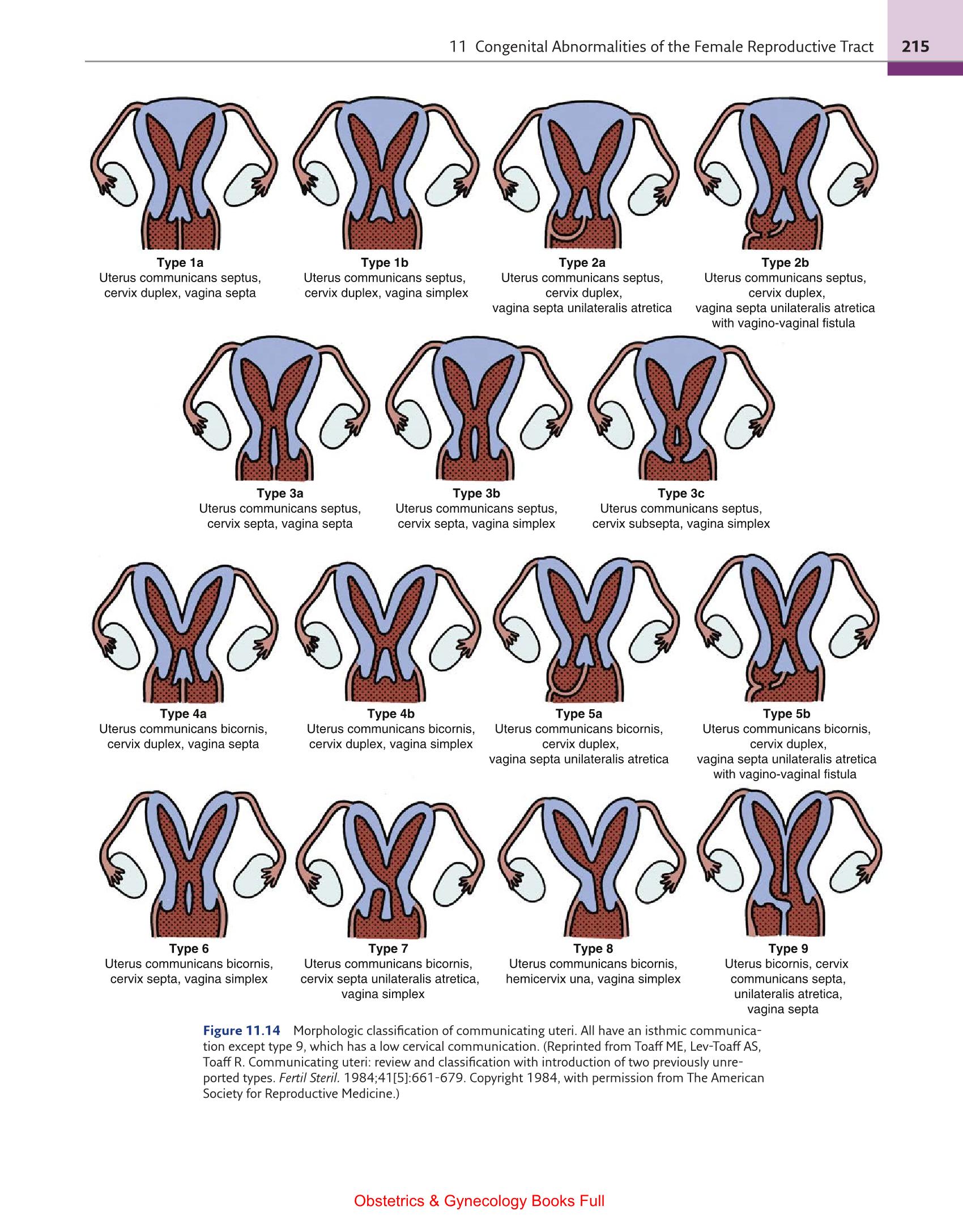 Comprehensive Gynecology - chinzoobaaska - Page 242 | Flip PDF Online ...