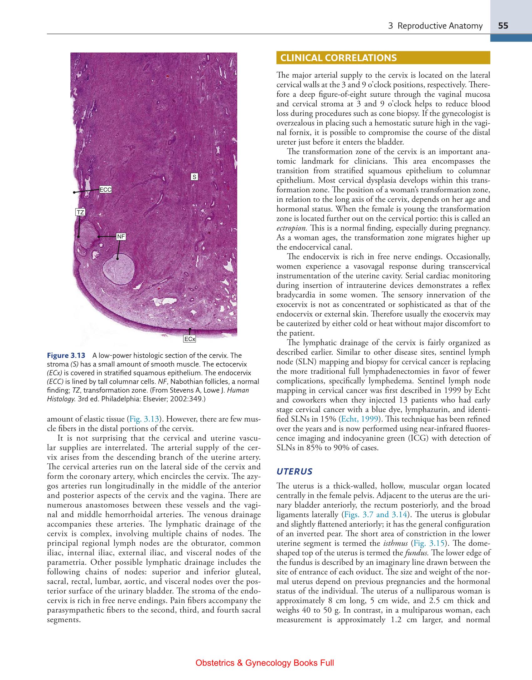 Comprehensive Gynecology - chinzoobaaska - Page 69 | Flip PDF Online ...