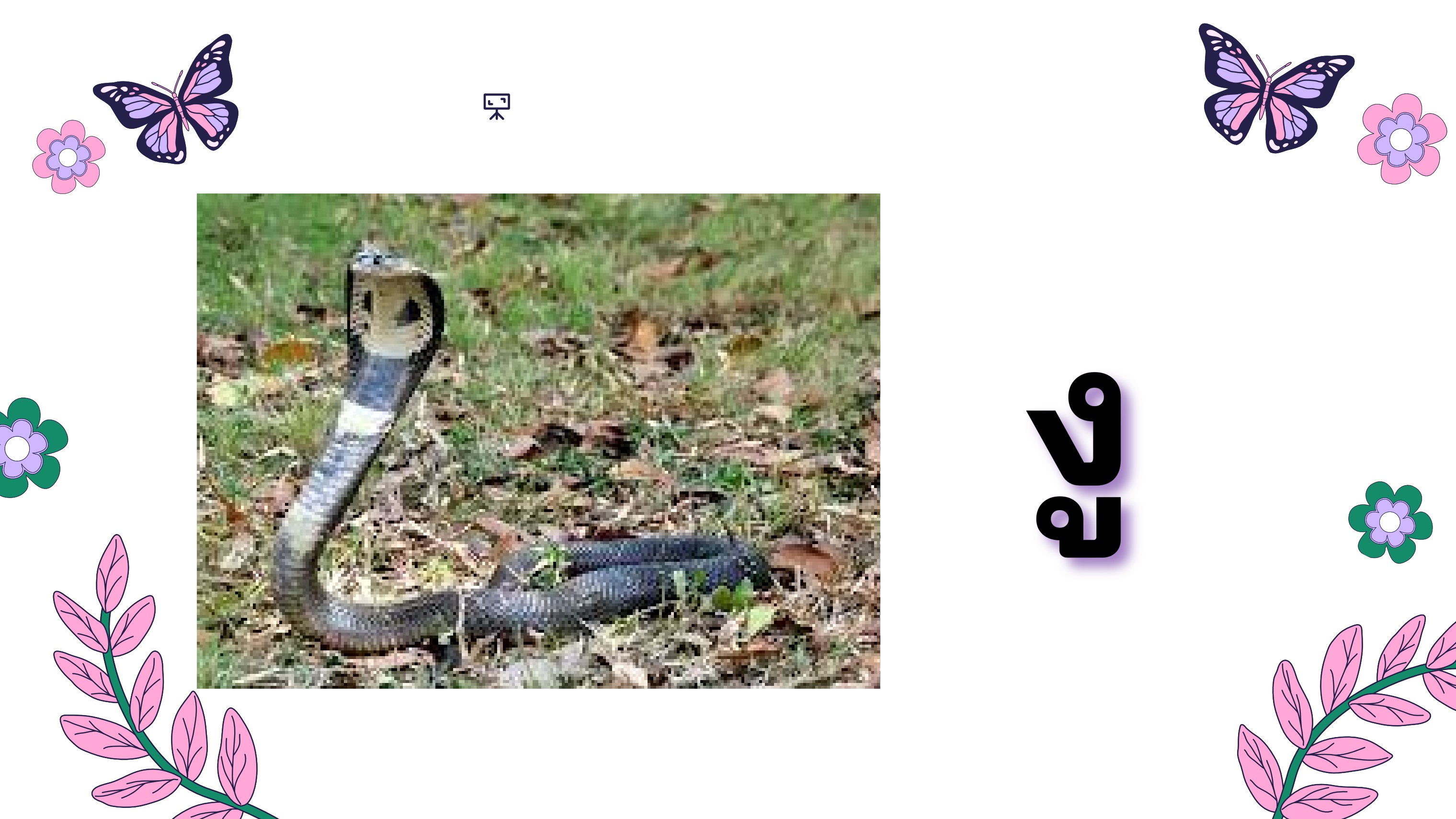 สื่อบัญชีคำพื้นฐาน ชั้นอนุบาล - kru_ploy - หน้าหนังสือ 123 | พลิก PDF ออนไลน์ | PubHTML5