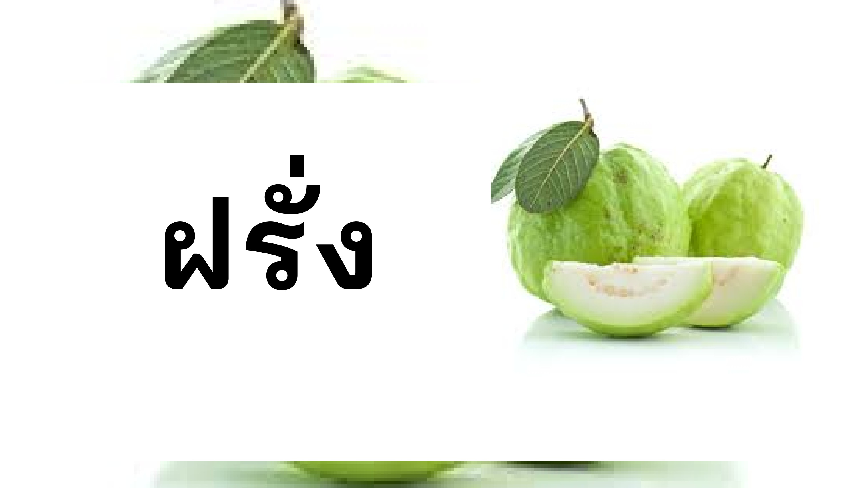 สื่อบัญชีคำพื้นฐาน ชั้นอนุบาล - kru_ploy - หน้าหนังสือ 92 | พลิก PDF ออนไลน์ | PubHTML5